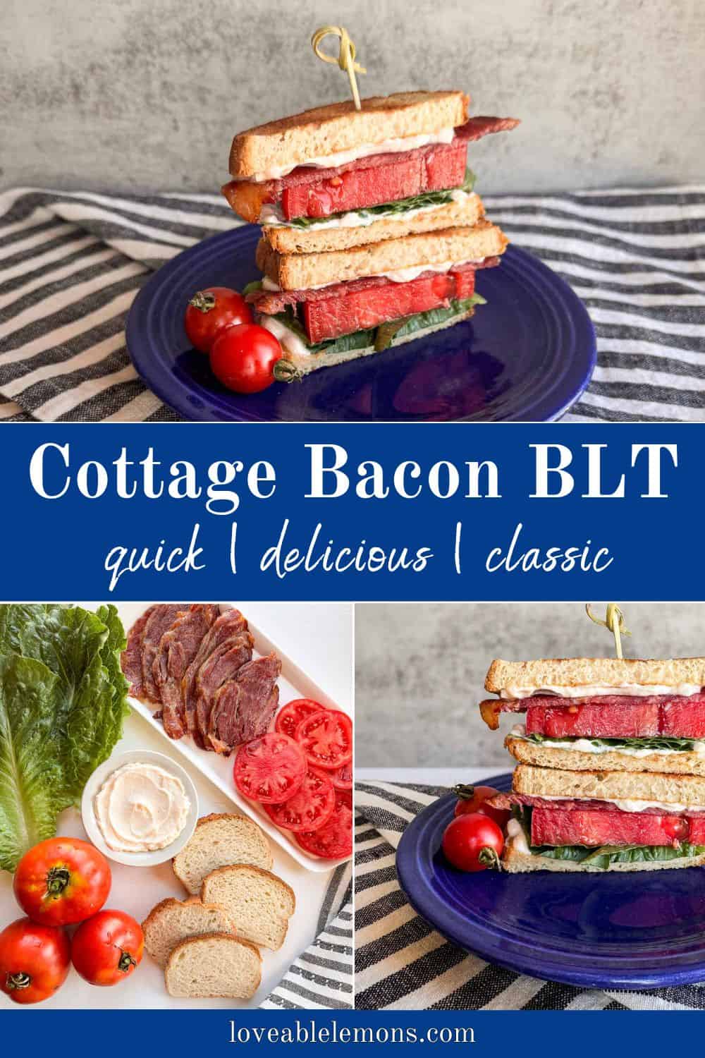 Cottage Bacon BLT Sandwich | Loveable Lemons
