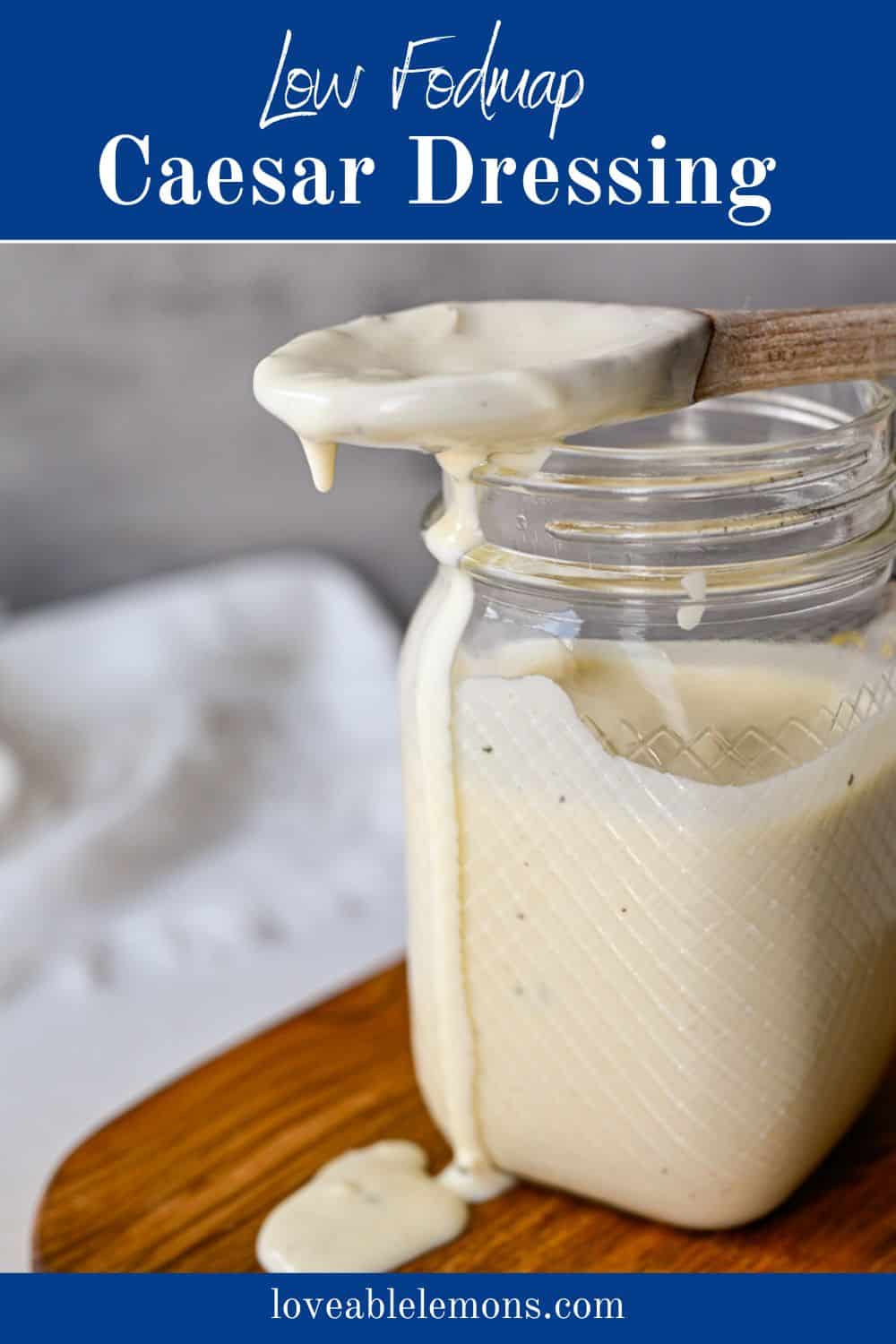 Homemade Low FODMAP Caesar Dressing Recipe | Loveable Lemons